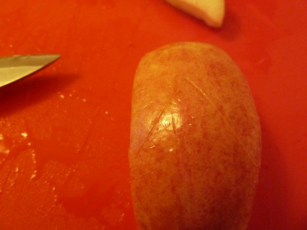 Sakacon: Usagi Ringo (Rabbit Apples)