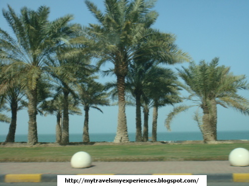 My Travels,My Experiences: How Green is Kuwait?