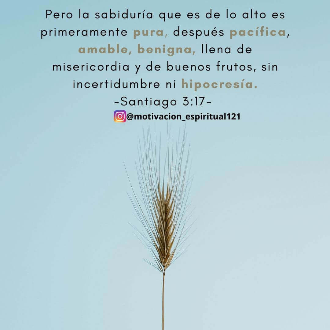 🔜 ¿Qué es la sabiduría de Dios y como obtenerla?; Sabiduría significado ...