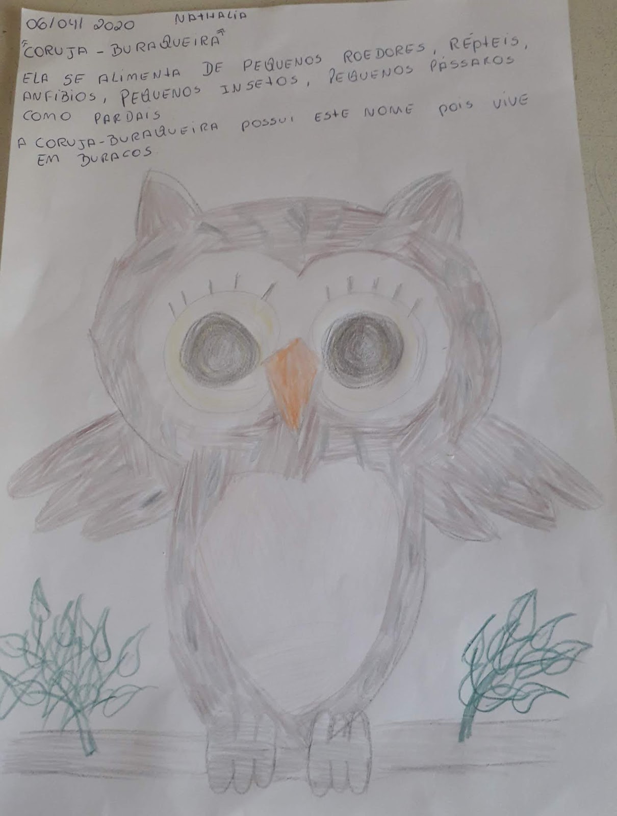 BRINCAR E APRENDER: AULA VIRTUAL 02 - PROJETO CORUJA