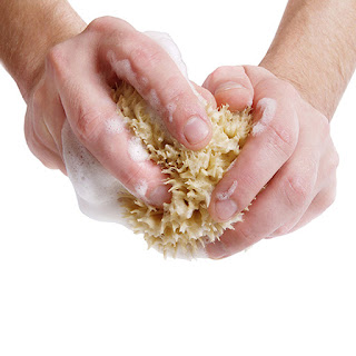 Sponge Painting Technique – Sponging on Sponging off ~ Cambridge Greek ...