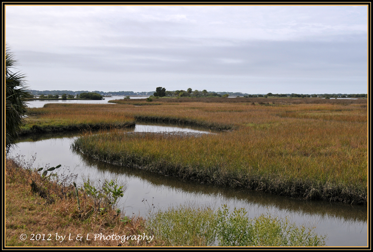 Cedar Key (Florida) Photos: A river winds through the marshy flats