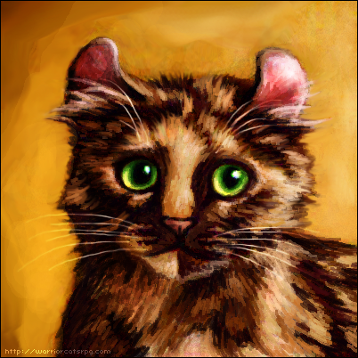 My Warrior Cats Pictures: Tortoiseshell Warrior!