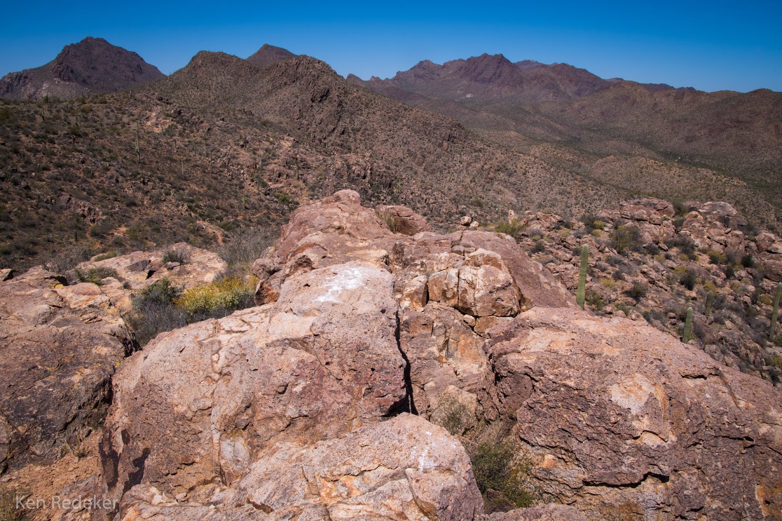 The Adventures of Ken: Tucson Mountain Park - Tucson, Arizona