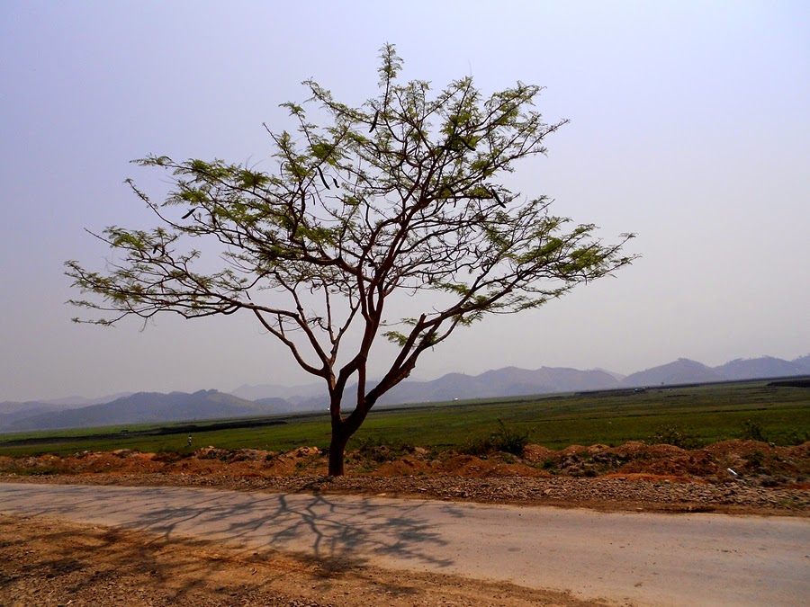 Travel and food tales: Andro village - a glimpse of the past