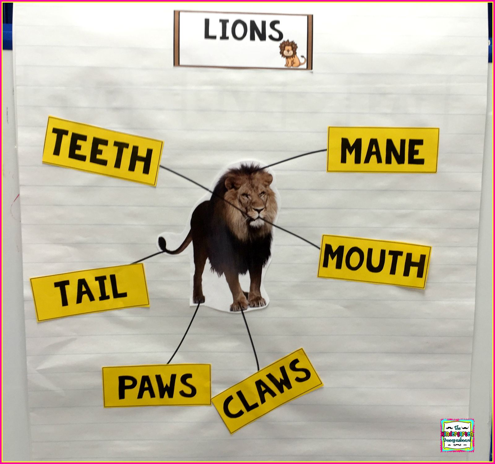 Research And Writing In Kindergarten: Zoo Animals! | Smedley's ...