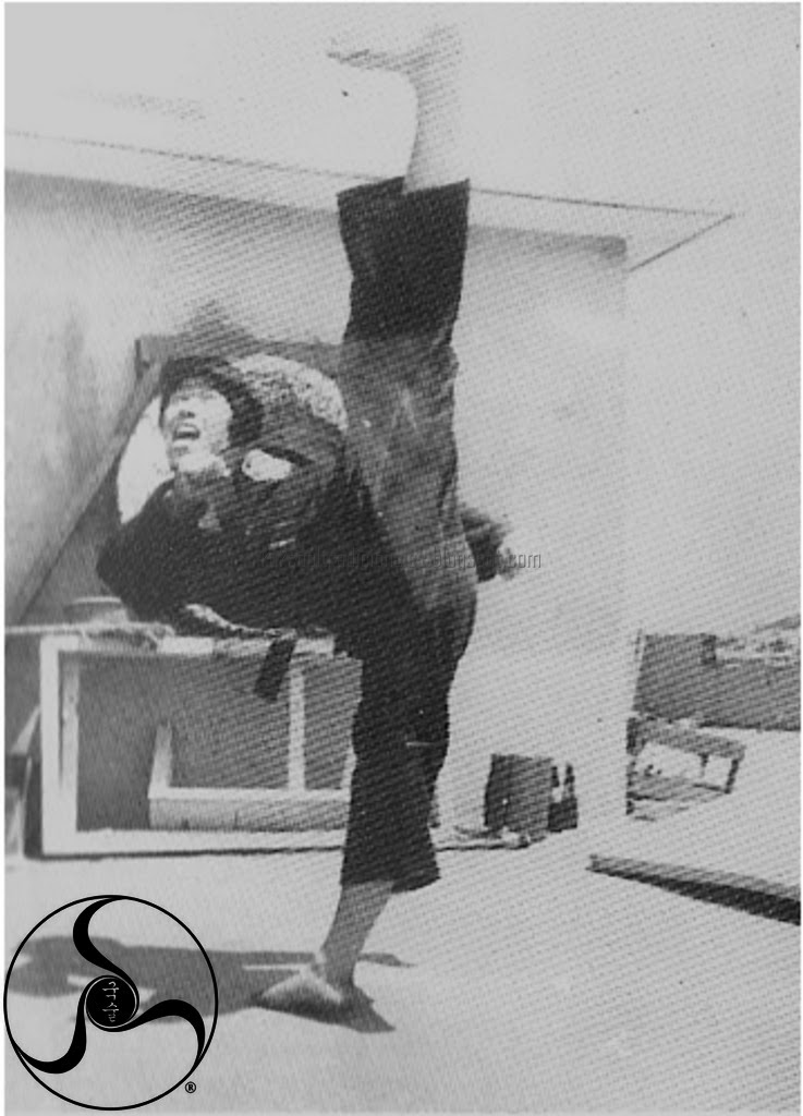 Artes Marciales Coreanas Tradicionales 전통적인 국술