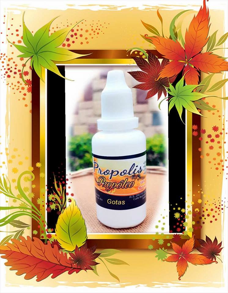 Ecológica Súper Natural: PROPOLIS PROPOLEOS BOLIVIA