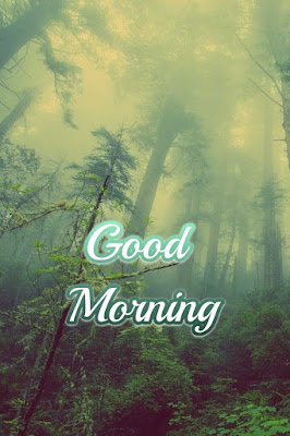 Good morning images Latest new hd pic for whatsapp & social media.