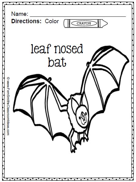 Color For Fun Bats and Spiders Coloring Pages - Fern Smith's Classroom ...