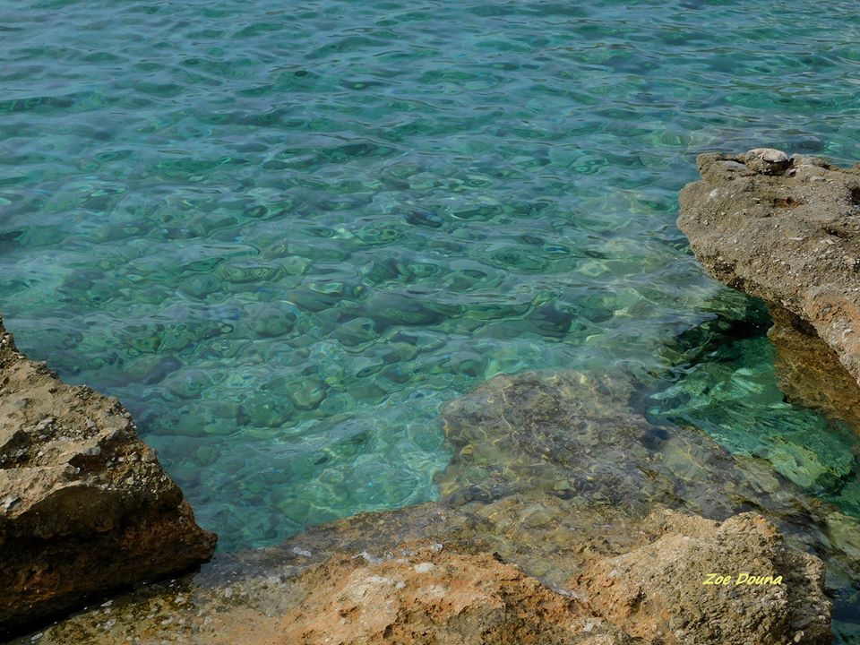 Homo Universalis: "ΕΙΔΥΛΛΙΑΚΗ"ΑΤΤΙΚΗ ΓΗ - ΦΩΤΟΓΡΑΦΙΚΟ ΑΛΜΠΟΥΜ ΤΗΣ ΖΩΗΣ ...