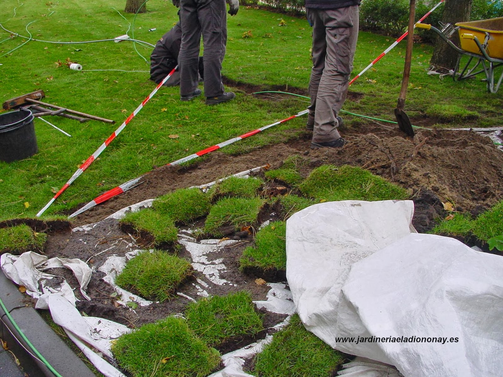 Jardineria Eladio Nonay: SEMILLAS O TEPE (Jardinería Eladio Nonay)