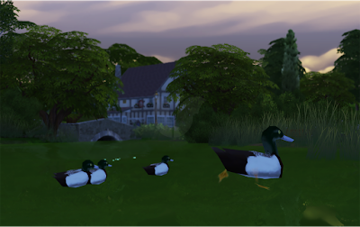 U R B A N S I M S: The Sims Get Together | First Impressions ( Windenburg )