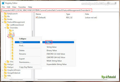 Cara Mengembalikan Menu Konteks Klik Kanan Lama di Windows 11 ...