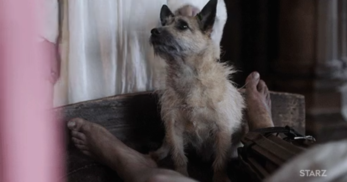 Outlander Homepage: Outlander - 'The Fans Who Make It' - Series by Roma ...