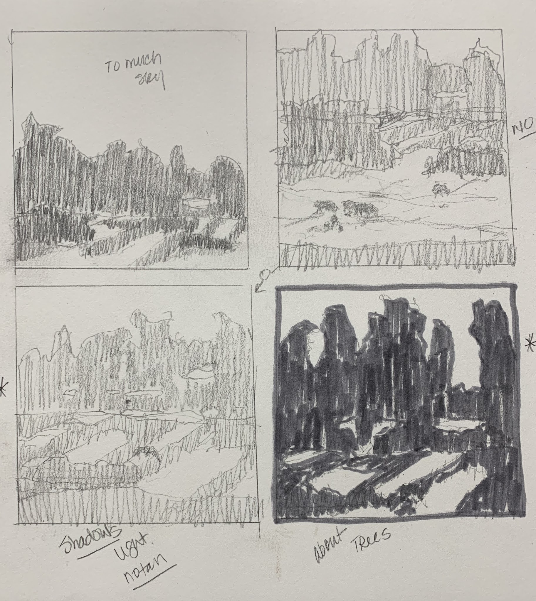 Debi Crow-Sousa Art: Drawings