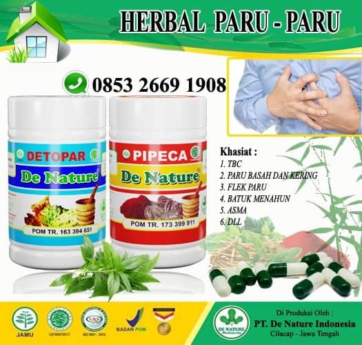 Pusat Pengobatan Herbal TBC (tuberculosis) Paru Dan Berbagai Penyakit ...