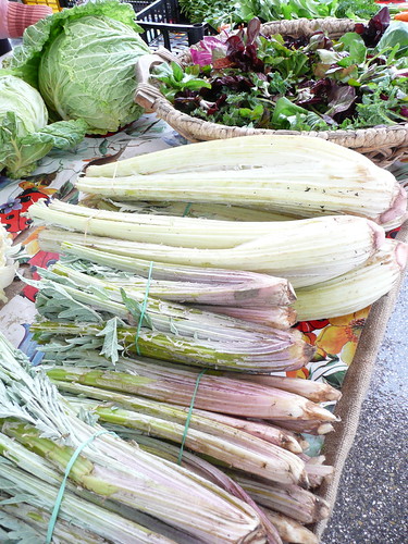 Behind the French Menu: The Cardoon or Cadone, in French the Cardon, a ...