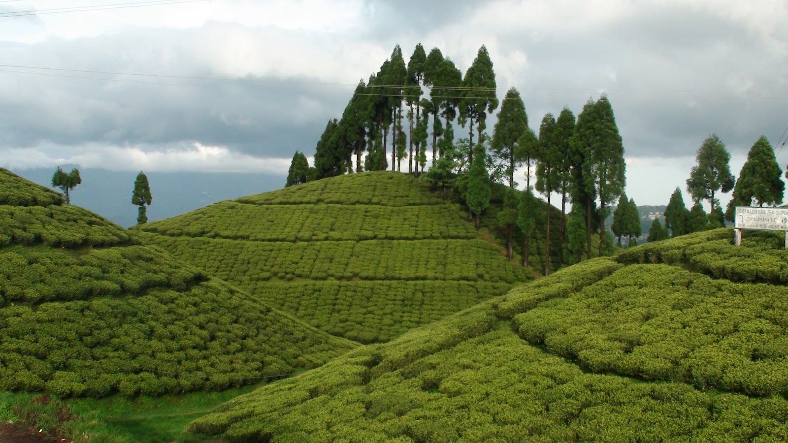 Mirik - Hill Station of West Bengal