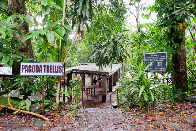 Mambukal Hot Spring Resort: Top Ten Things You Can Do (Murcia Negros ...