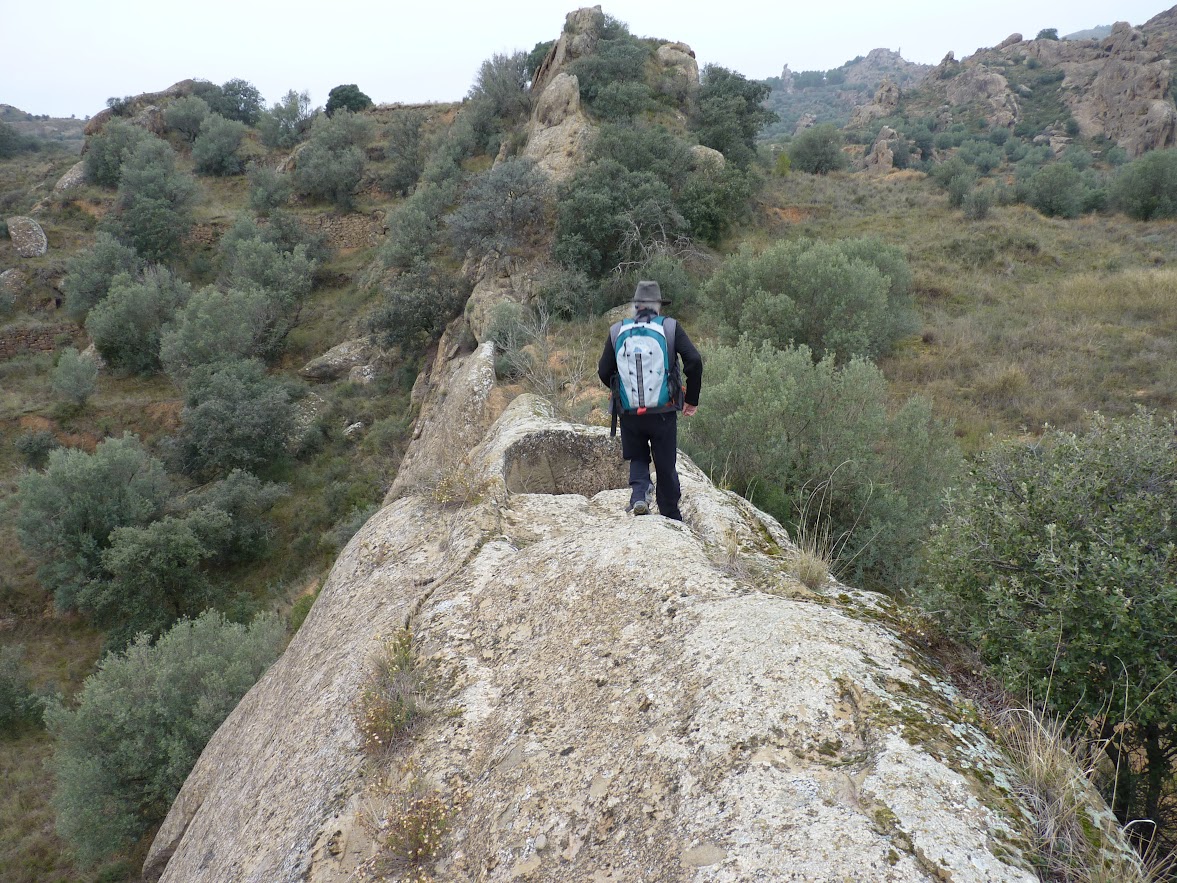 CONOCE LA LITERA: enero 2019