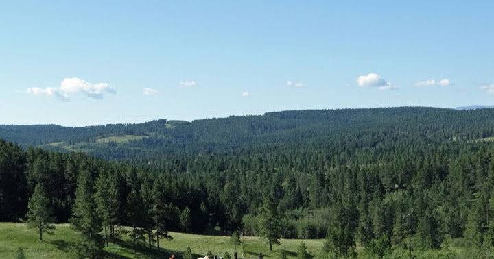 Reflections From the Fence: Lewistown Montana to Medora North Dakota, A ...