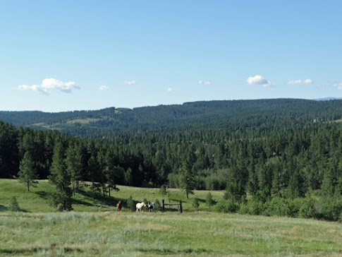 Reflections From the Fence: Lewistown Montana to Medora North Dakota, A ...