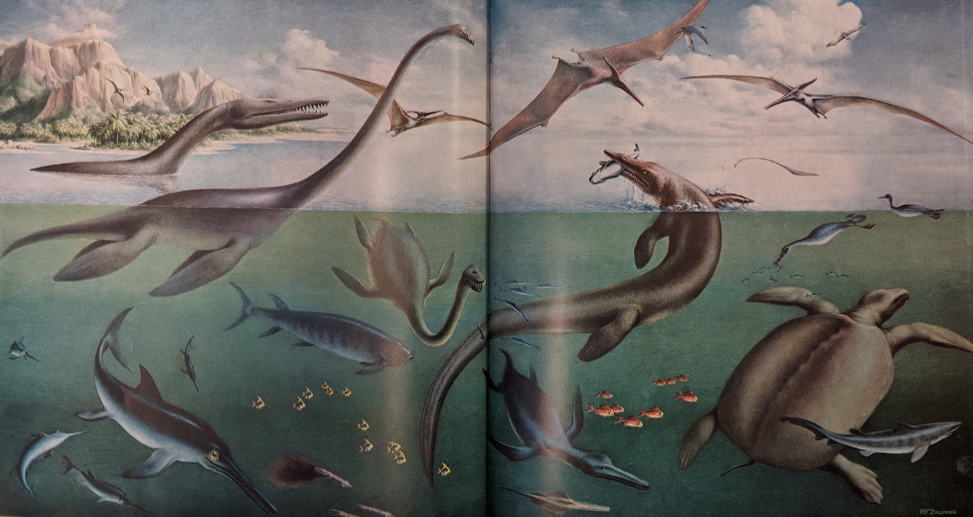 Cretaceous Marine Animals