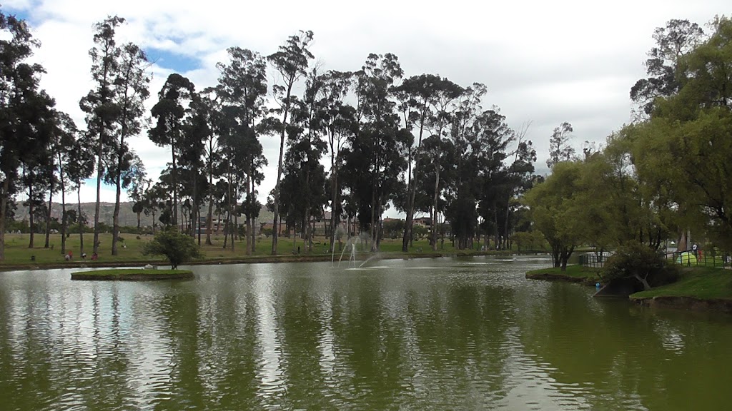 Turismo en Bicicleta Bogota: Arboles Parque Timiza