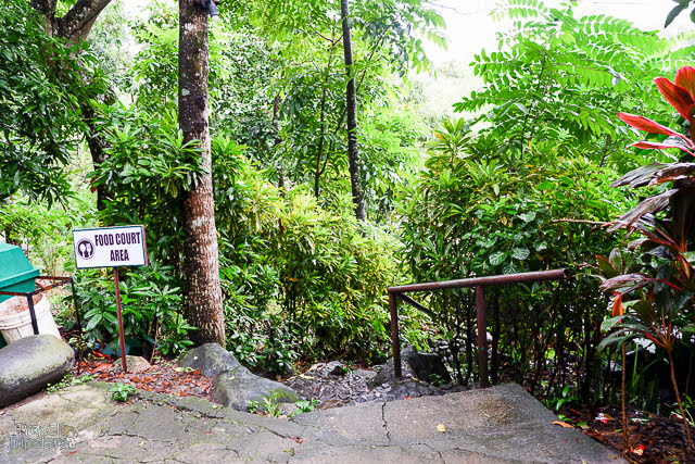 Mambukal Hot Spring Resort: Top Ten Things You Can Do (Murcia Negros ...