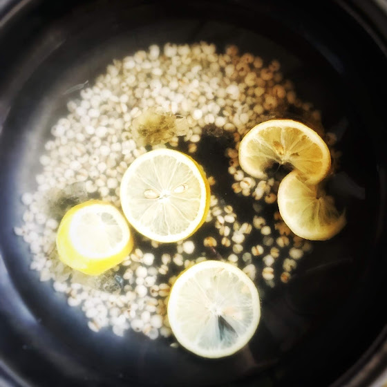 Lemon and Job's Tears Herbal Tea 檸檬薏米茶 | Chinese Recipes at ...