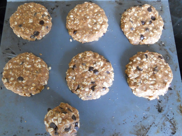 Snacking Squirrel: Cookie Recipe