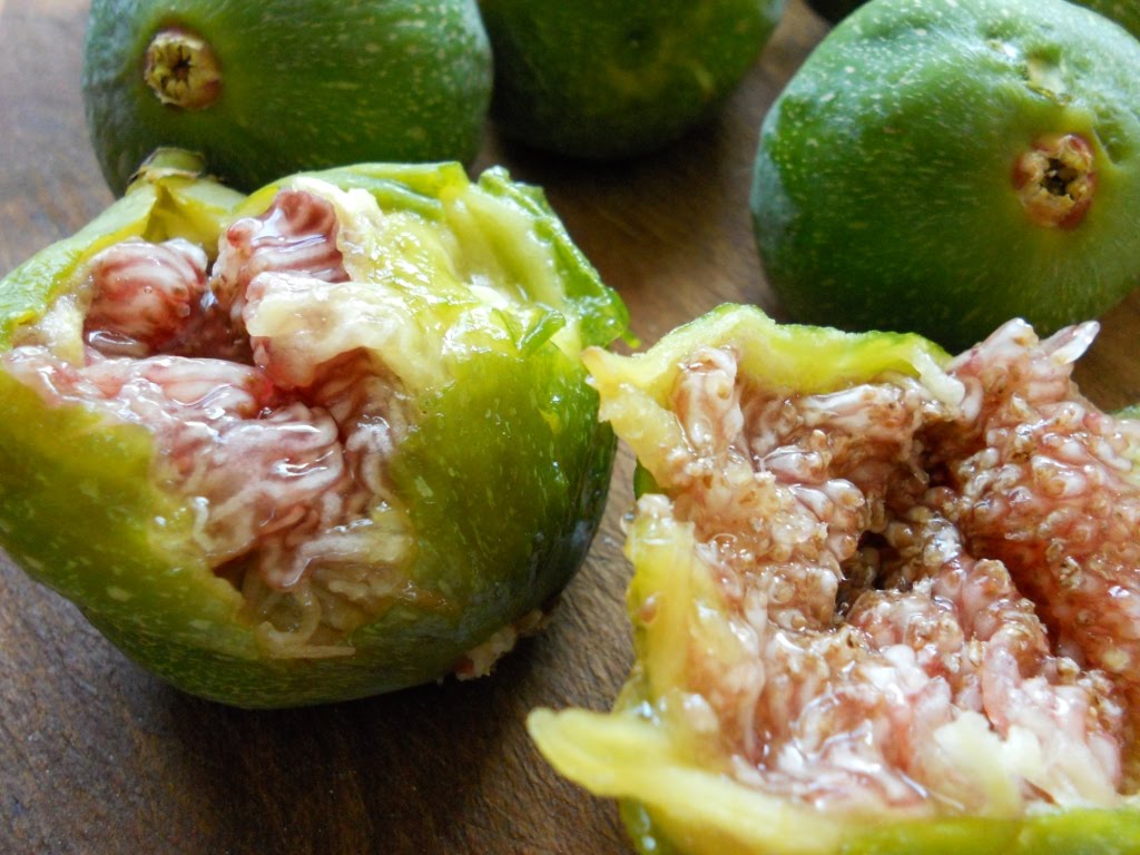 Snacking Squirrel: Fig Scuffins