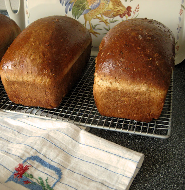 The Iowa Housewife: Sunflower Seed Bread