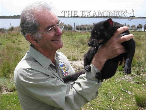 English Article Reviews