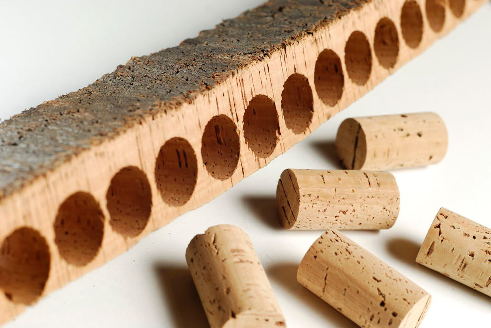 Rflx-s: BOSQUES DE CORCHO