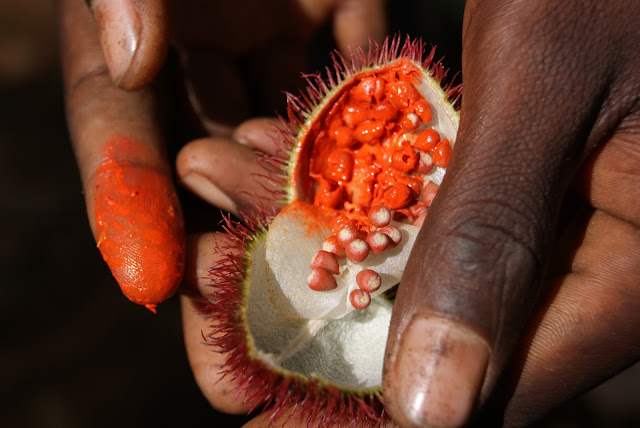 Food for the Travelling Soul.: Zanzibar!!