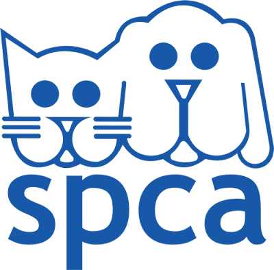 Pomeranian Puppies: Spca