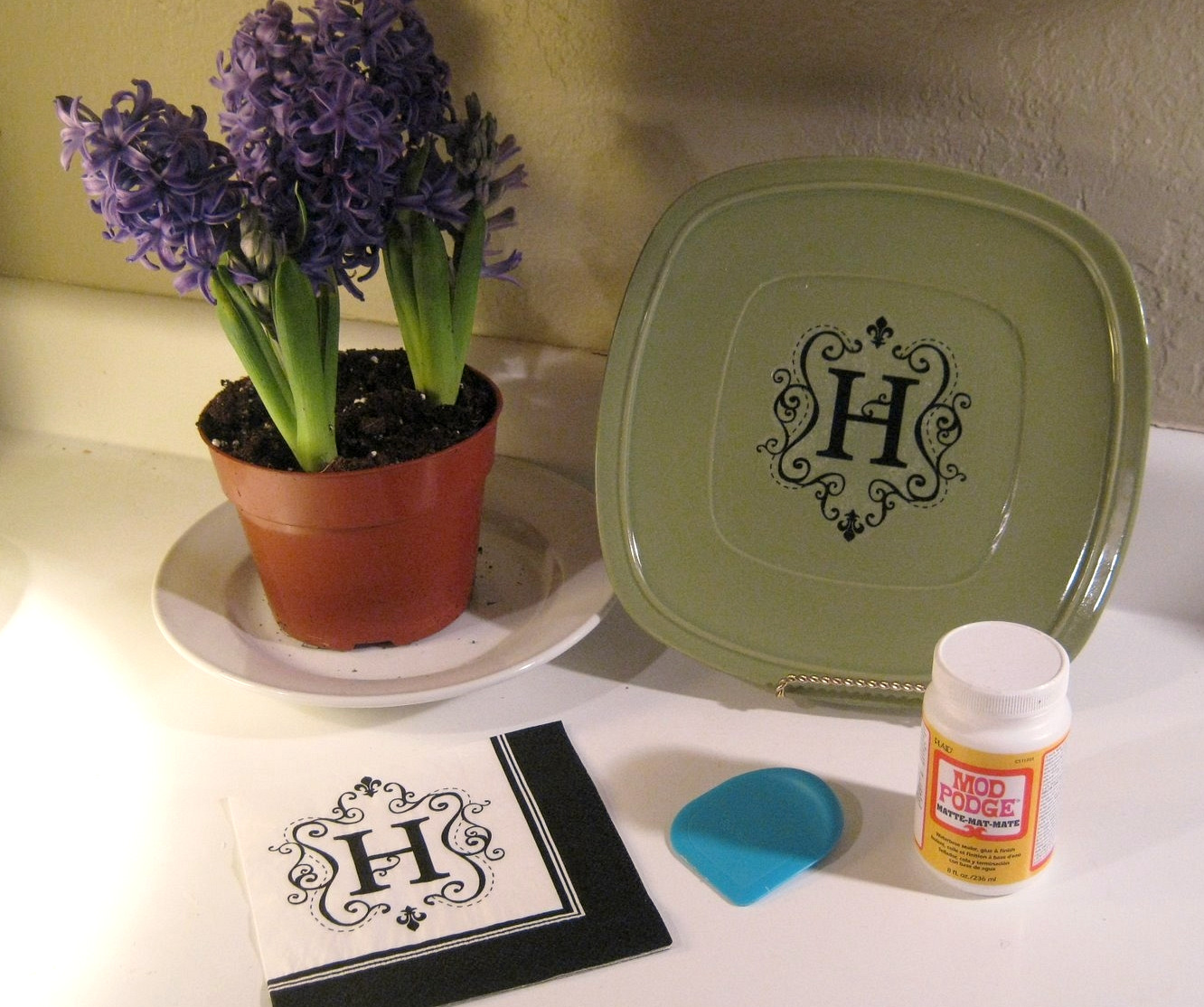 The Appraiser's Wife: Modge Podge Plate Project