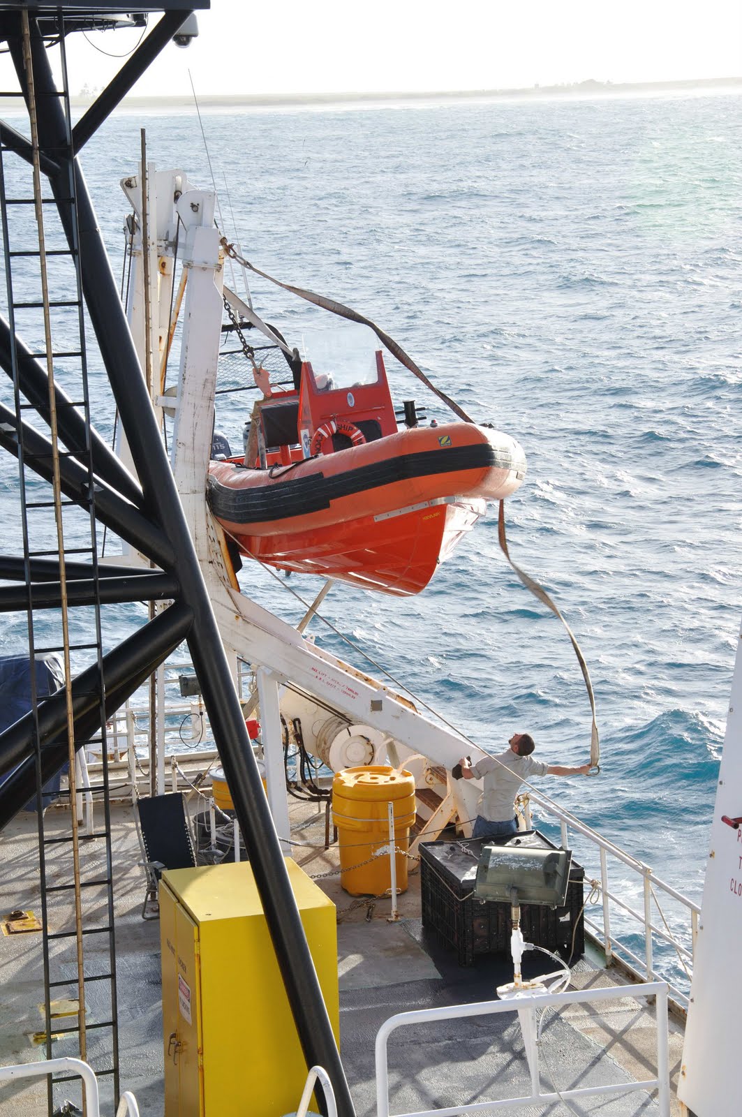 Okie Whaler: Miranda Davit and the Ptotally Pterrible Pterodactyls