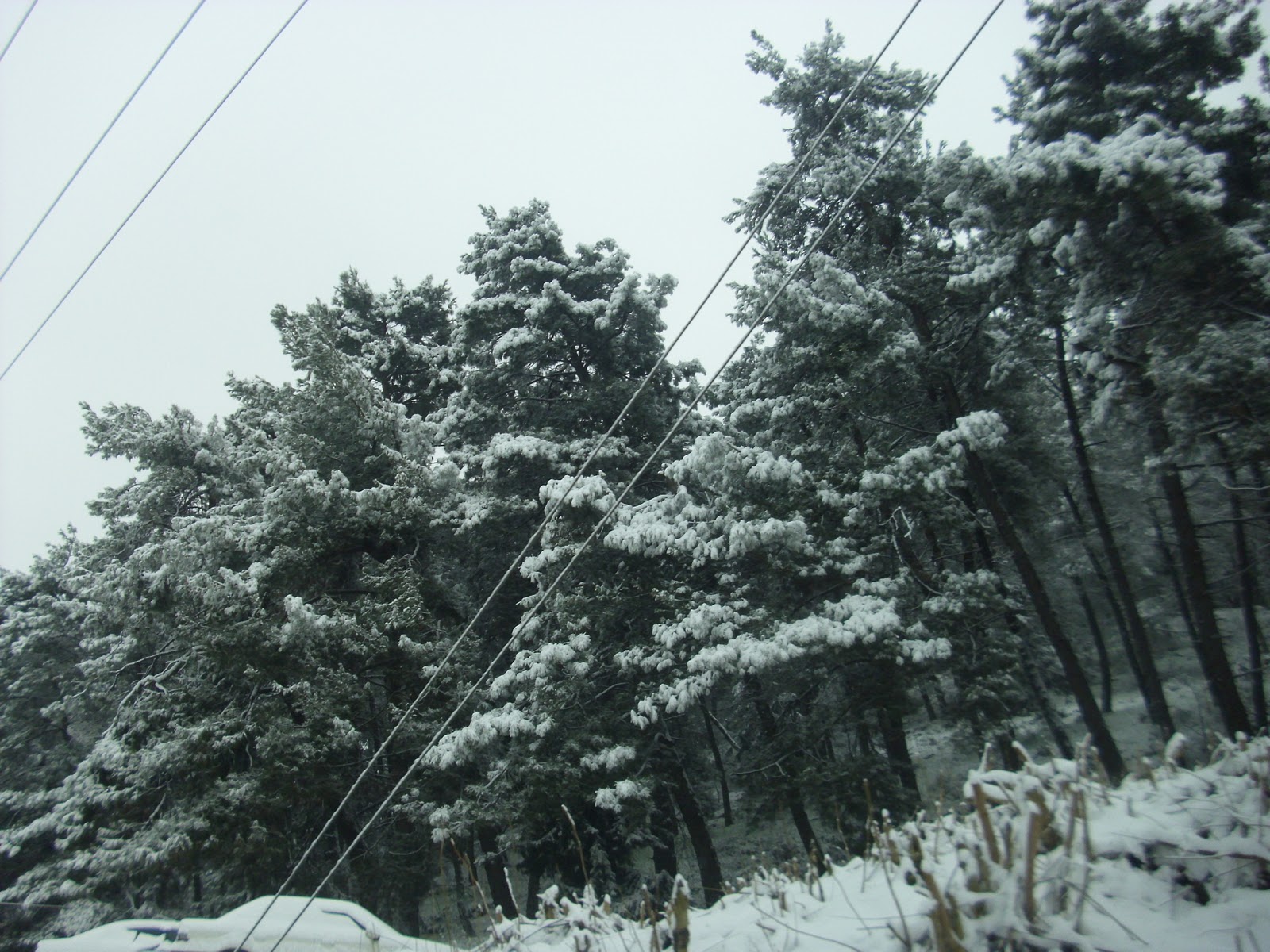ioannina2day: Φωτογραφίες από χιονισμένα Ιωάννινα!!!