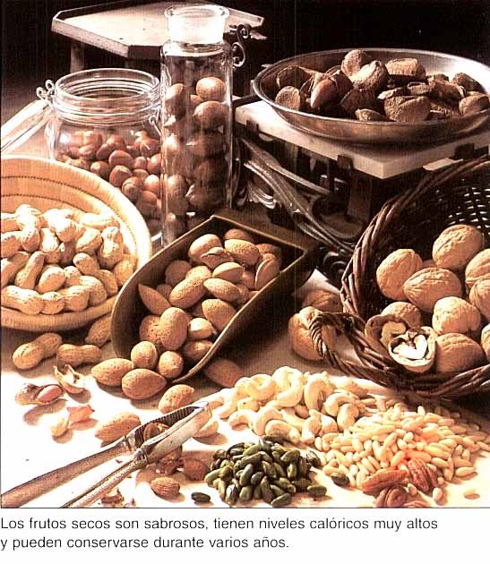 la historia del hombre: ALIMENTACION EN LA PREHISTORIA