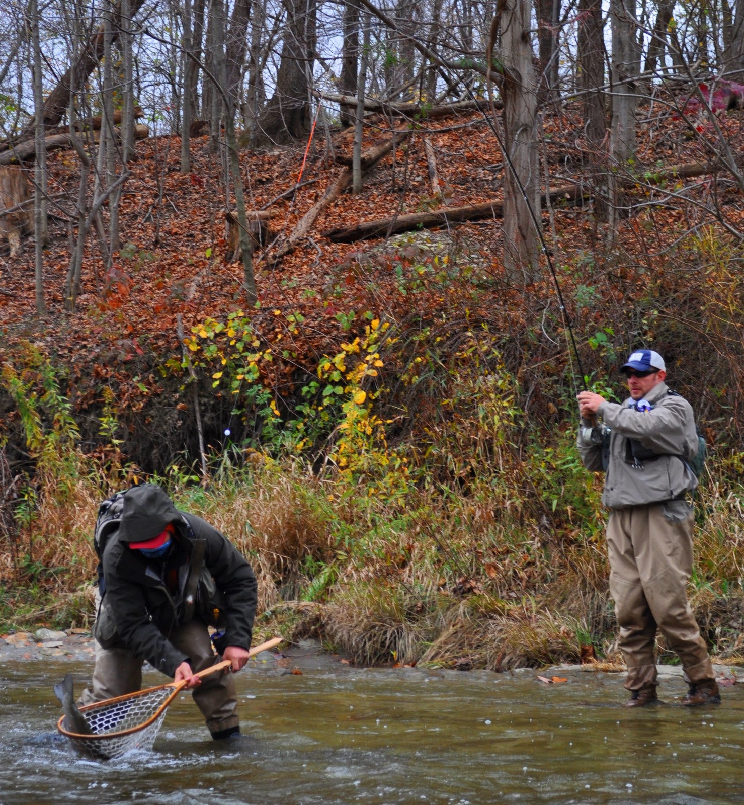 Steelhead Alley Outfitters- Lake Erie Fly Fishing Guide Service and ...