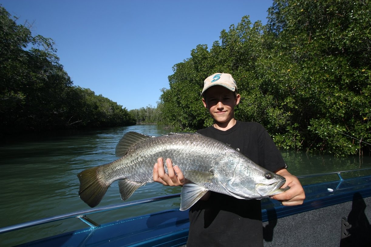 Weipa Sports Fishing: Weipa still giving it!