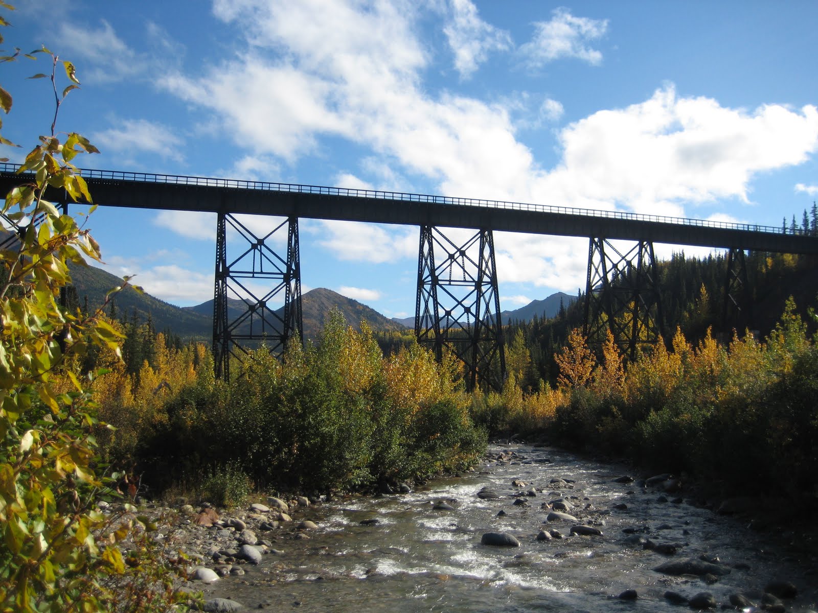 Hey it's me Janel!: Riley Creek Bridge