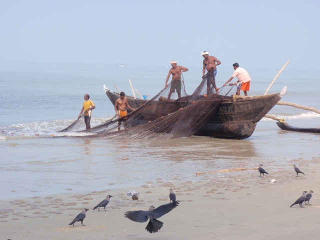 Mr. P Sees the World: Fishing in Goa