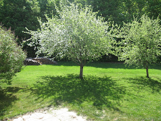 Les Lys de Lévis: Le Pouce Vert