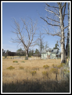 Bend Oregon Photos: Bend Oregon - Cooley Road.