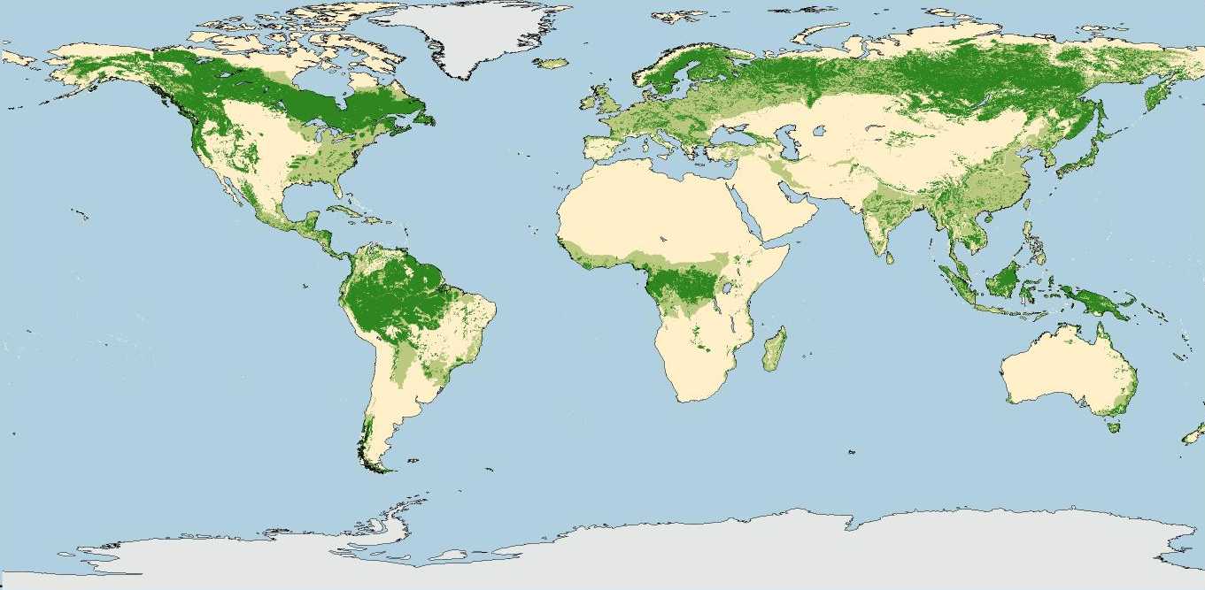 RUROSMU: LAS PRINCIPALES ÁREAS FORESTALES DEL MUNDO
