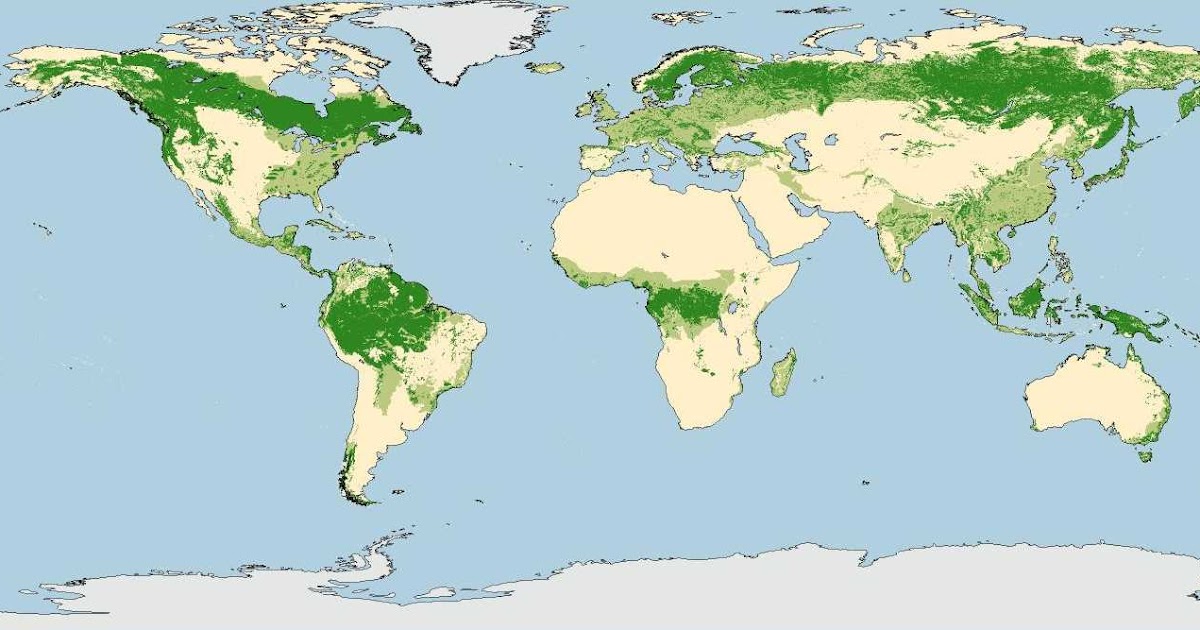 RUROSMU: LAS PRINCIPALES ÁREAS FORESTALES DEL MUNDO